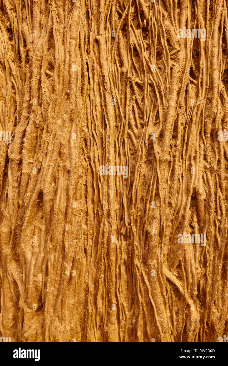 Textured backgrounds with tree roots form. Nature abstract surface ...