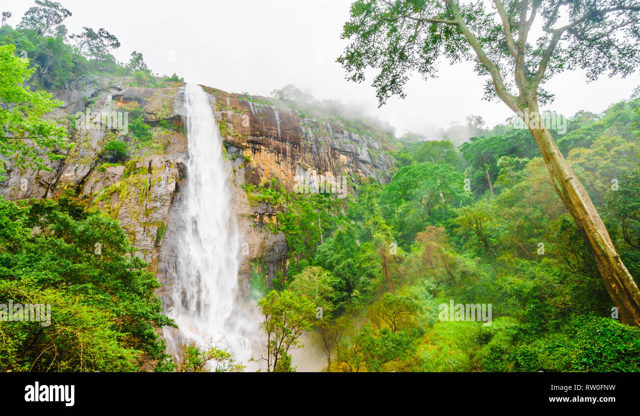 Diyaluma water fall Sri lanka located betwenn Wellawaya and Haputale ...