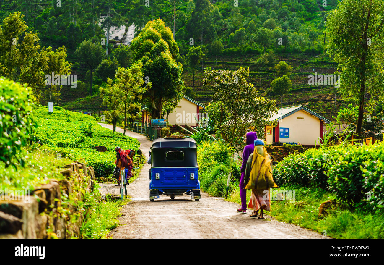 Red Tuk Tuk on the way to tea plantation in Haputale, Sri Lanka Stock ...
