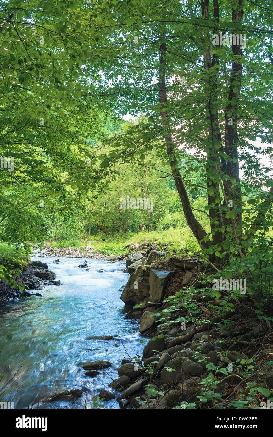 Riverbank beautiful hi-res stock photography and images - Alamy