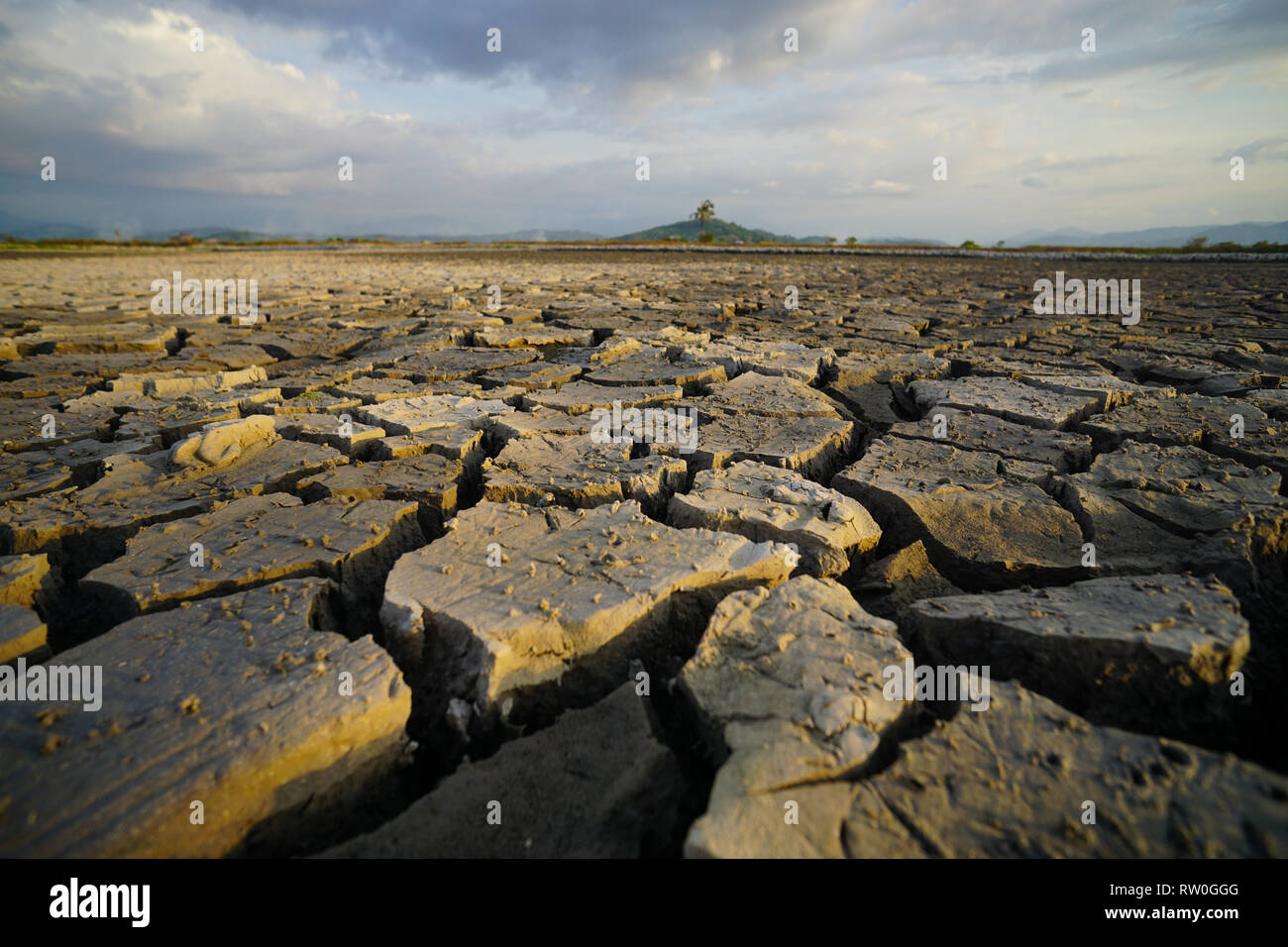 Crack soil during drought dry season at countryside in borneo Stock ...