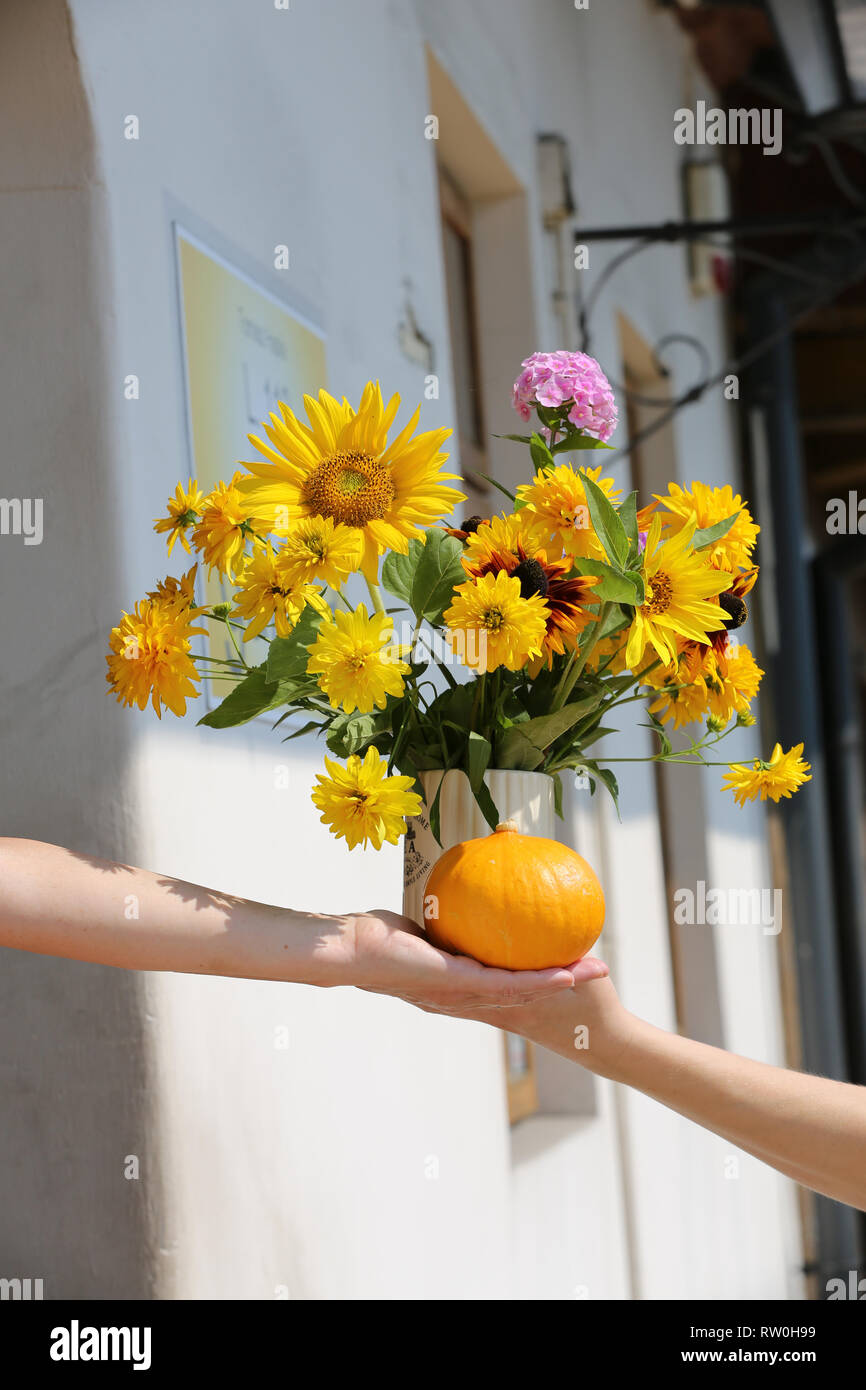 the beautiful bouquet from sunflowers, hydrangeas and chrysanthemums ...