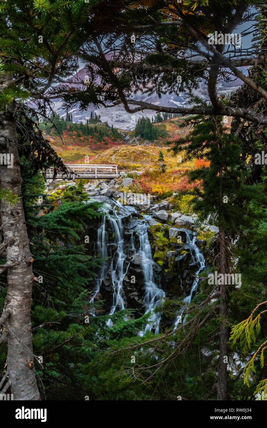 Myrtle falls trail hi-res stock photography and images - Alamy