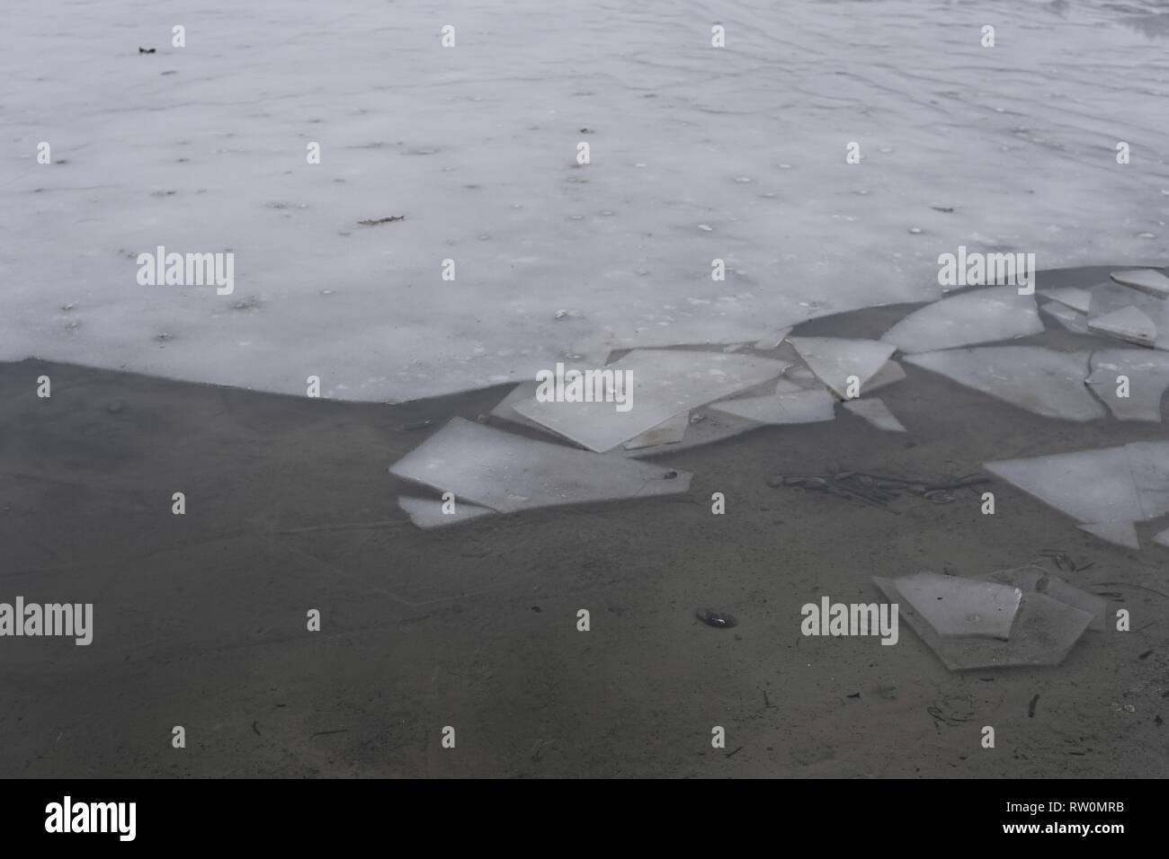 melting ice cover on a lake during foggy day at beginning of spring ...