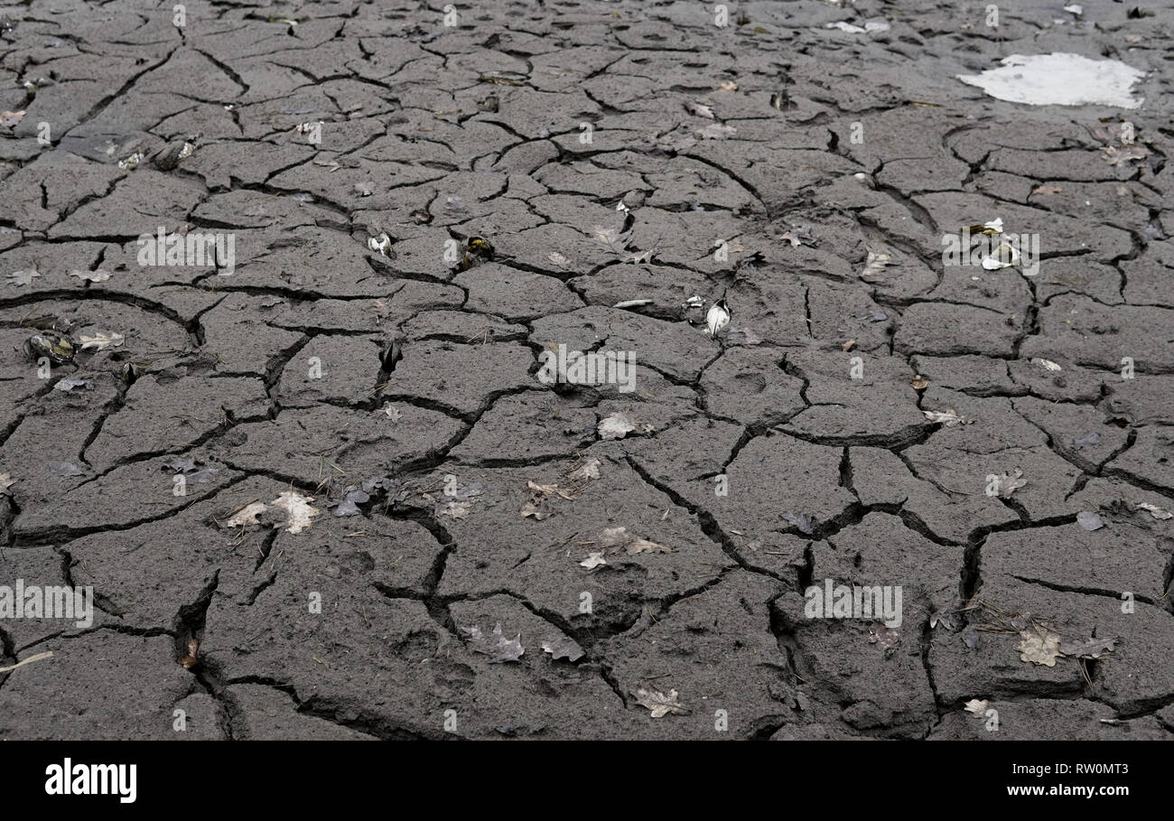 Black bottom mud hi-res stock photography and images - Alamy