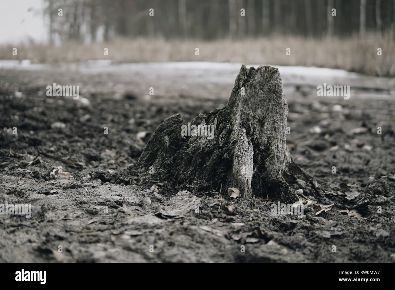 Mud on bottom dried hi-res stock photography and images - Alamy