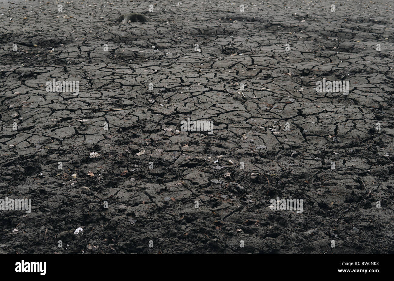 Black bottom mud hi-res stock photography and images - Alamy