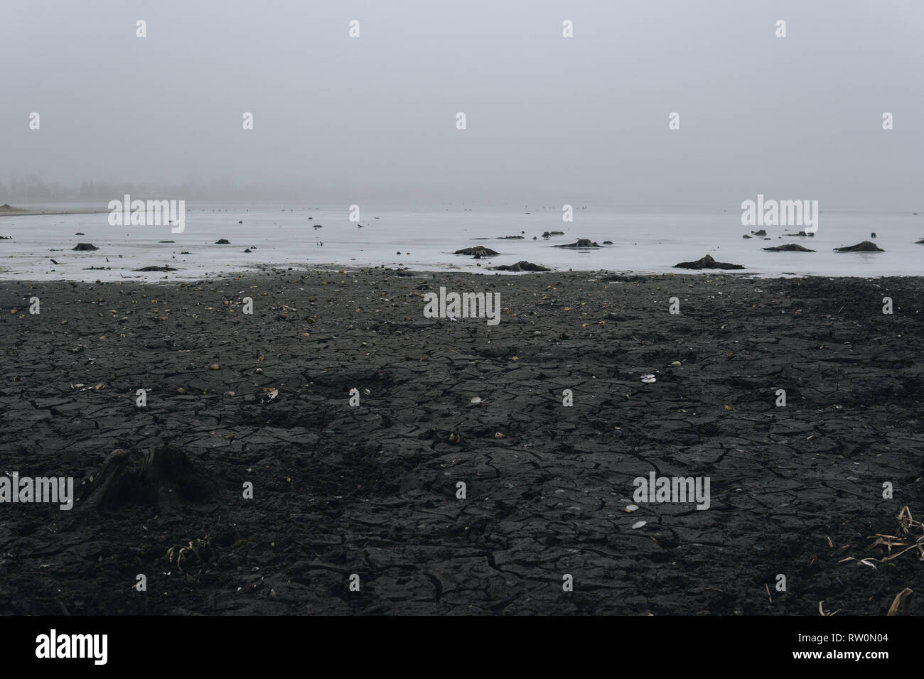 Black bottom mud hi-res stock photography and images - Alamy
