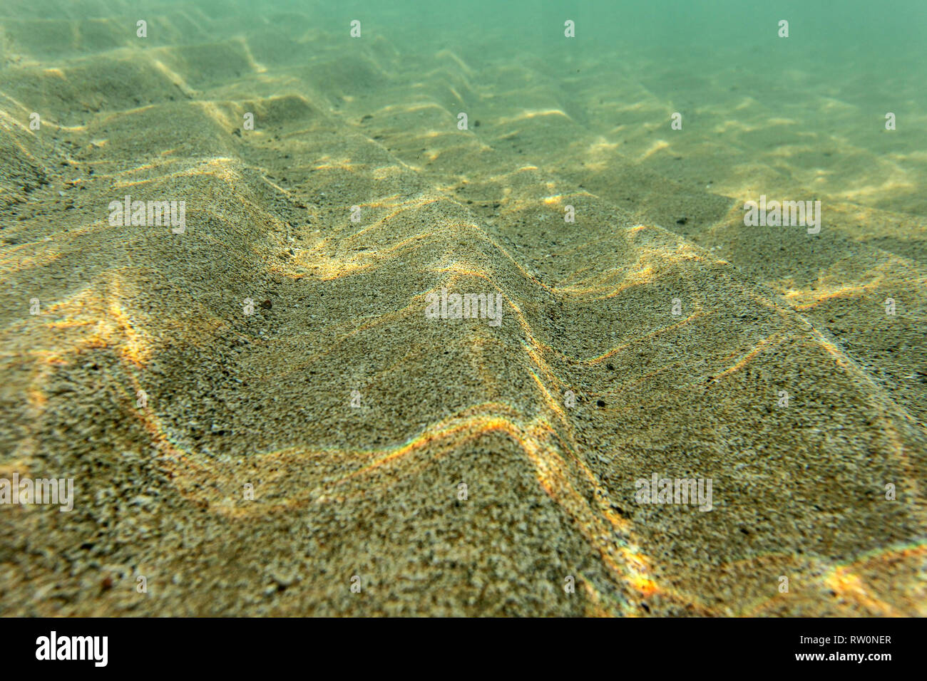 Shallow sea bottom, sand "dunes" lit by sun. Abstract marine background ...