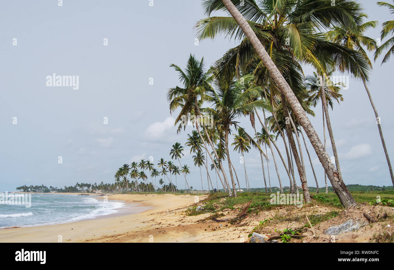 A nice landscape photo of a beautiful tropical sandy beach near the ...