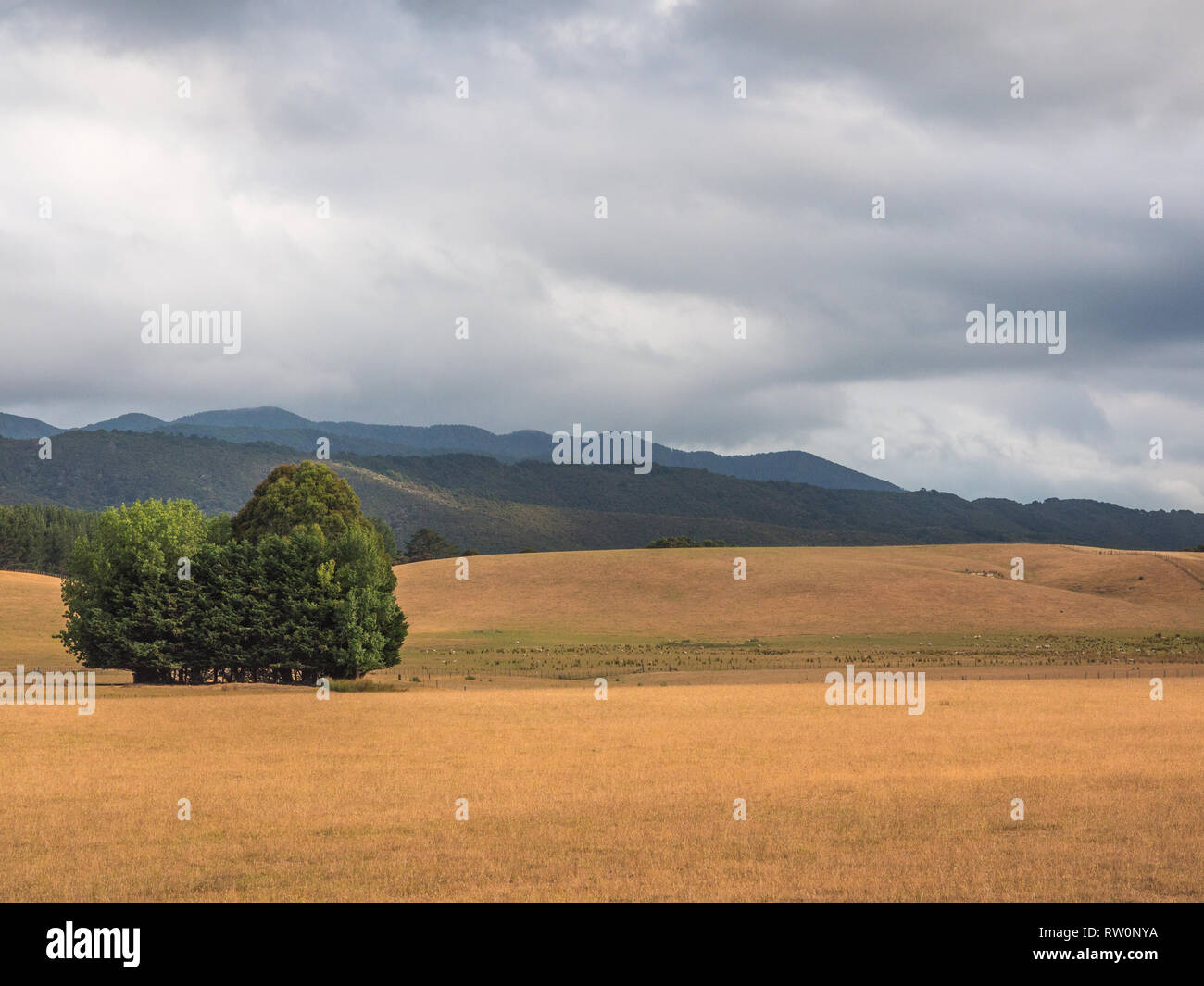 Grass and sky grass and grey sky hi-res stock photography and images ...