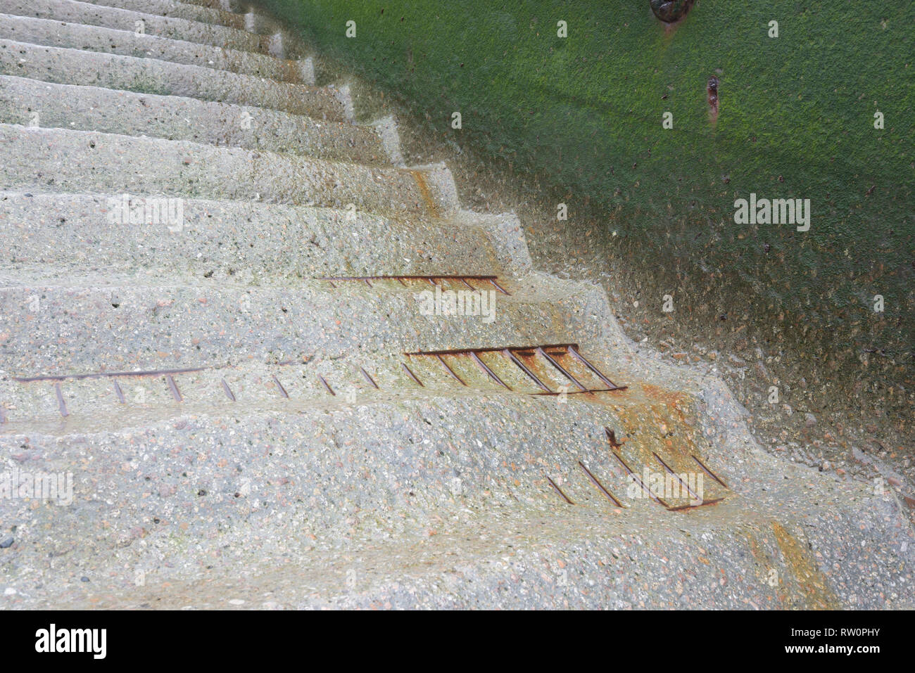 Worn reinforced concrete steps worn smooth with steel reinforcing mesh ...