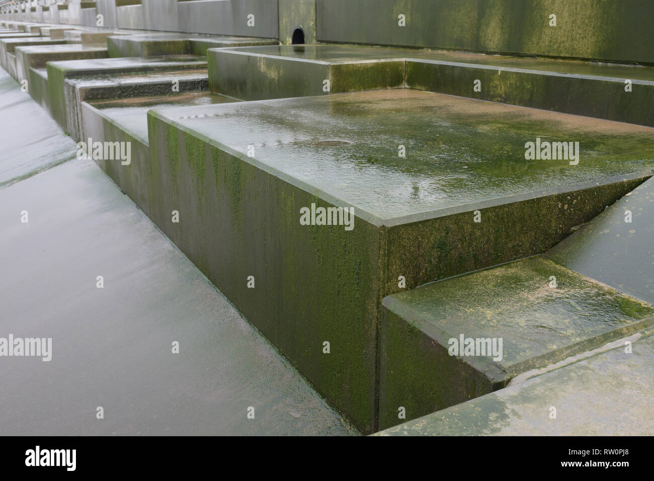 Green algae on concrete wavebreaker units, wet surface, Anchorsholme ...