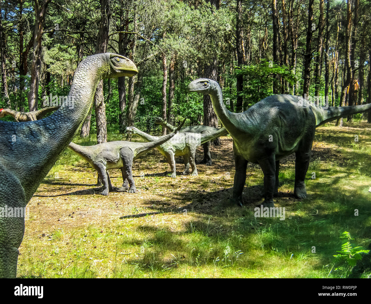 Sauropods High Resolution Stock Photography and Images - Alamy