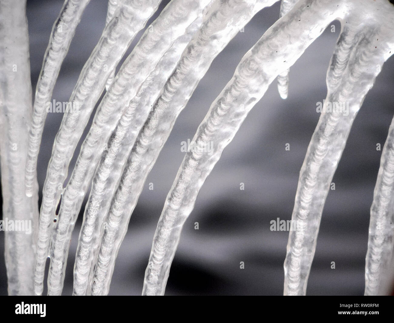 Curved icicles, winter frost, snow and ice Curved icicles, winter frost ...