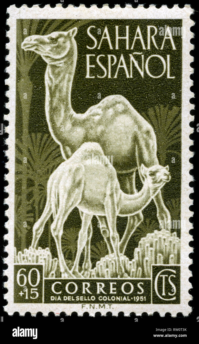 Postage stamp from the former Spanish Sahara issued in 1951 Stock Photo ...