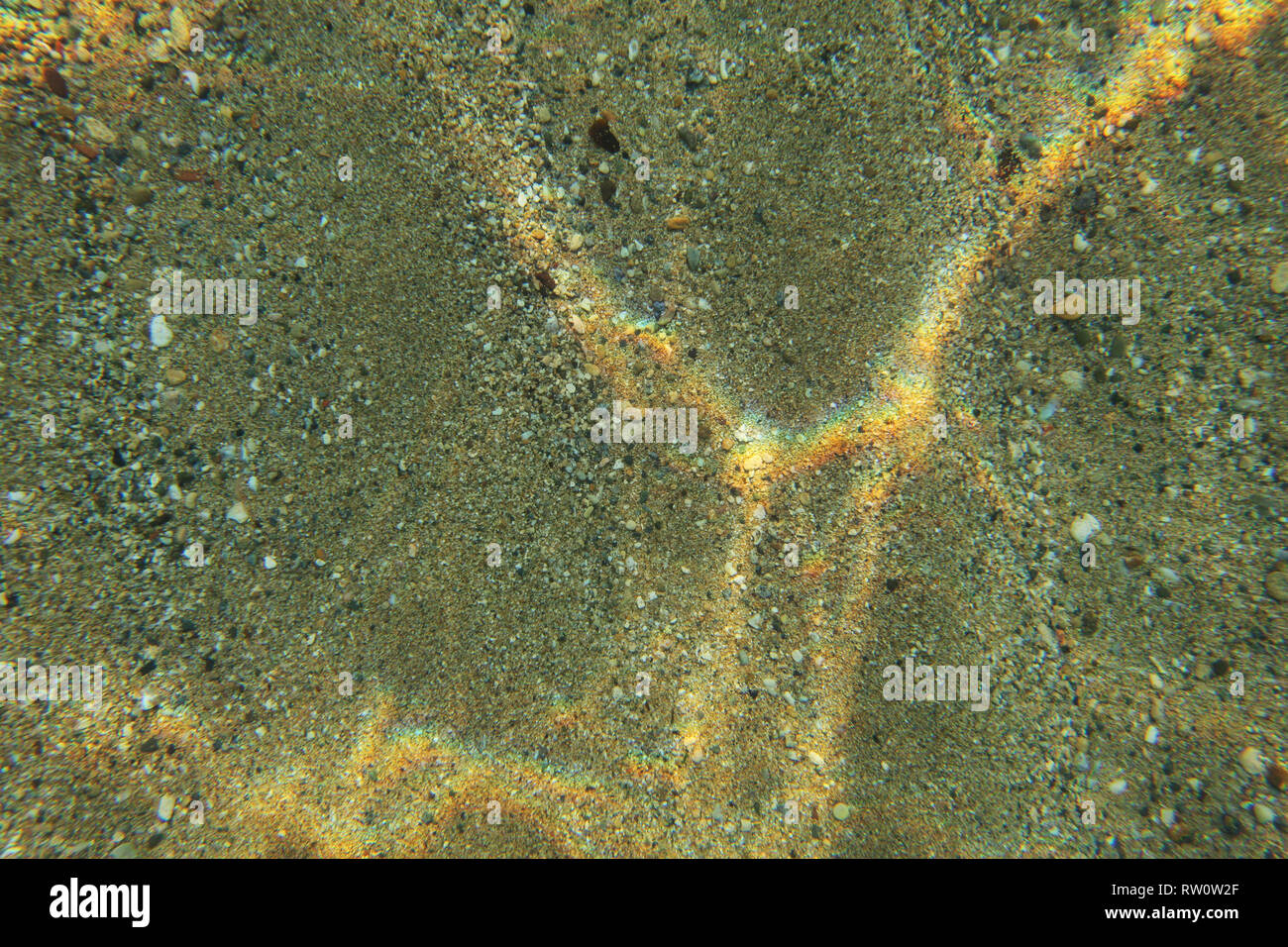 Refraction underwater hi-res stock photography and images - Alamy