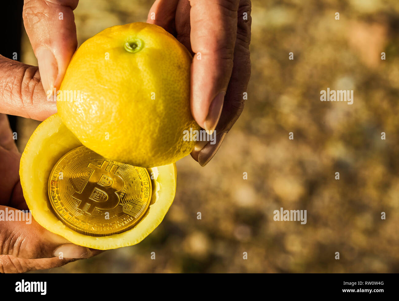 Hidden suprise hi-res stock photography and images - Alamy