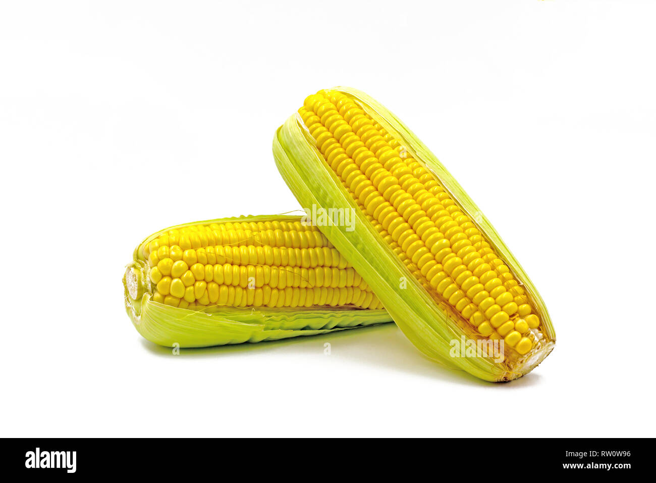 Sweet Corn isolated on white background Stock Photo - Alamy
