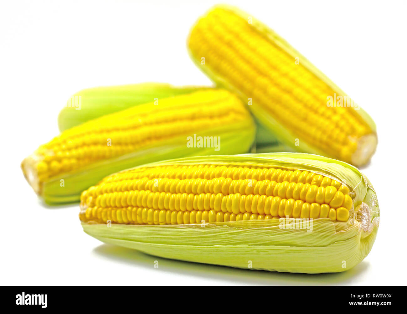 Sweet Corn isolated on white background Stock Photo - Alamy