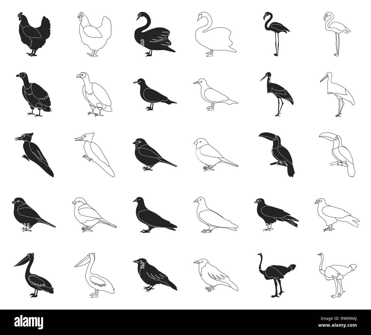 animal,art,beak,bird,black,outline,bullfinch,chicken,collection,crow ...
