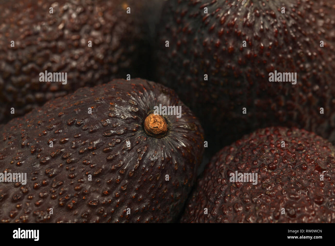 Closeup of dark ripe avocado skin Stock Photo - Alamy
