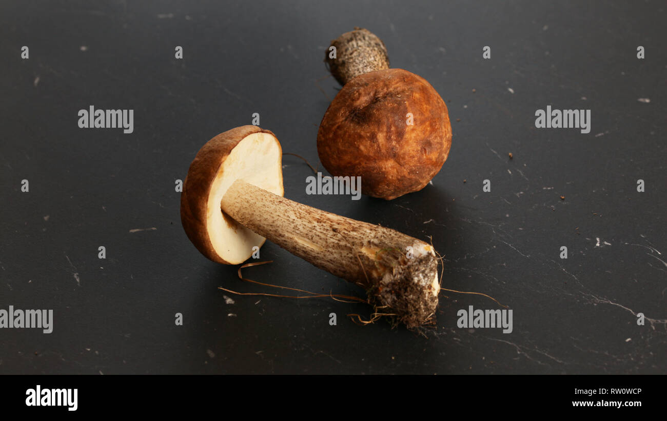 Two birch bolete (scaber stalk) mushrooms on black marble board Stock ...