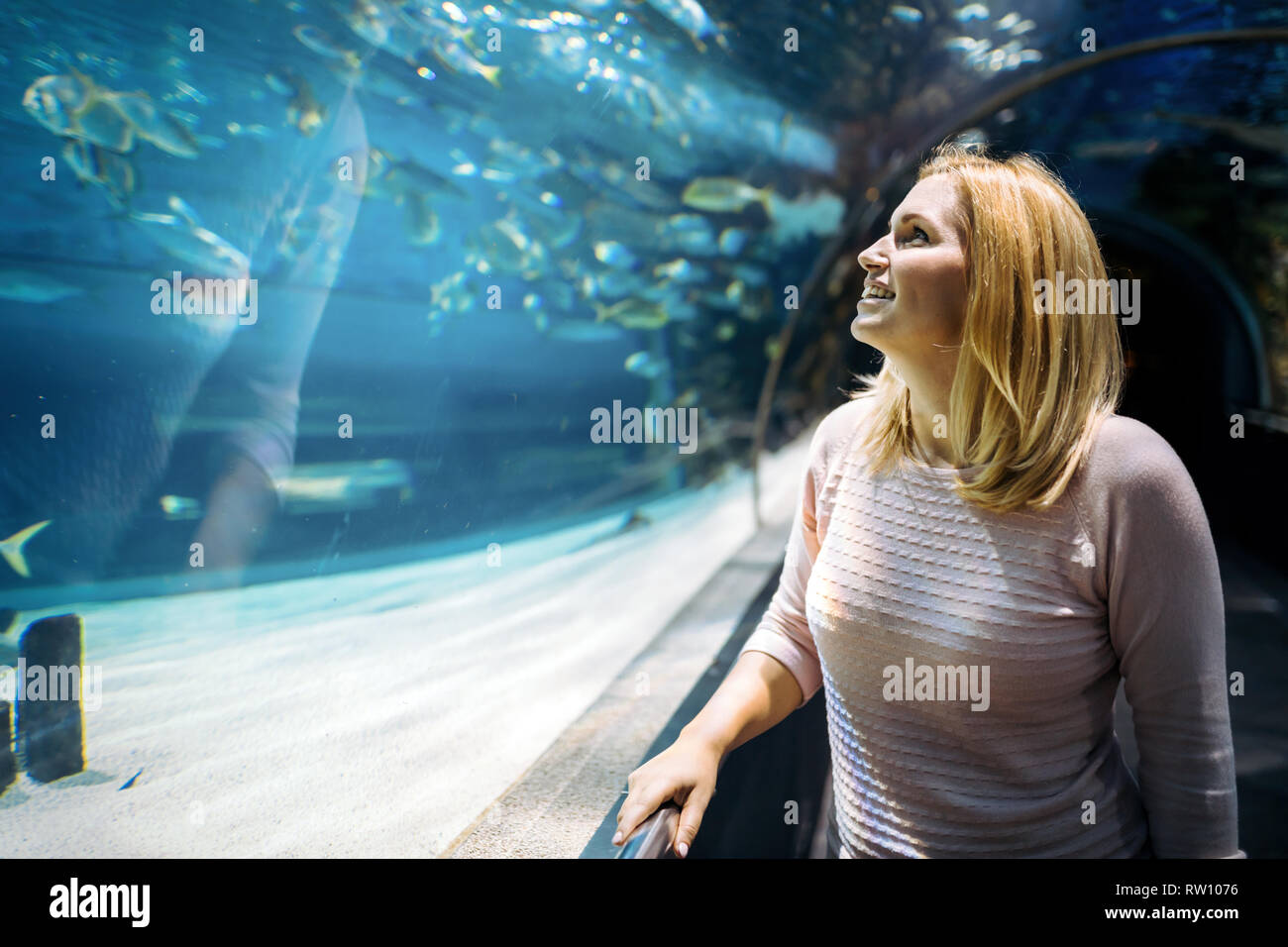 The underwater world an aquarium hi-res stock photography and images ...