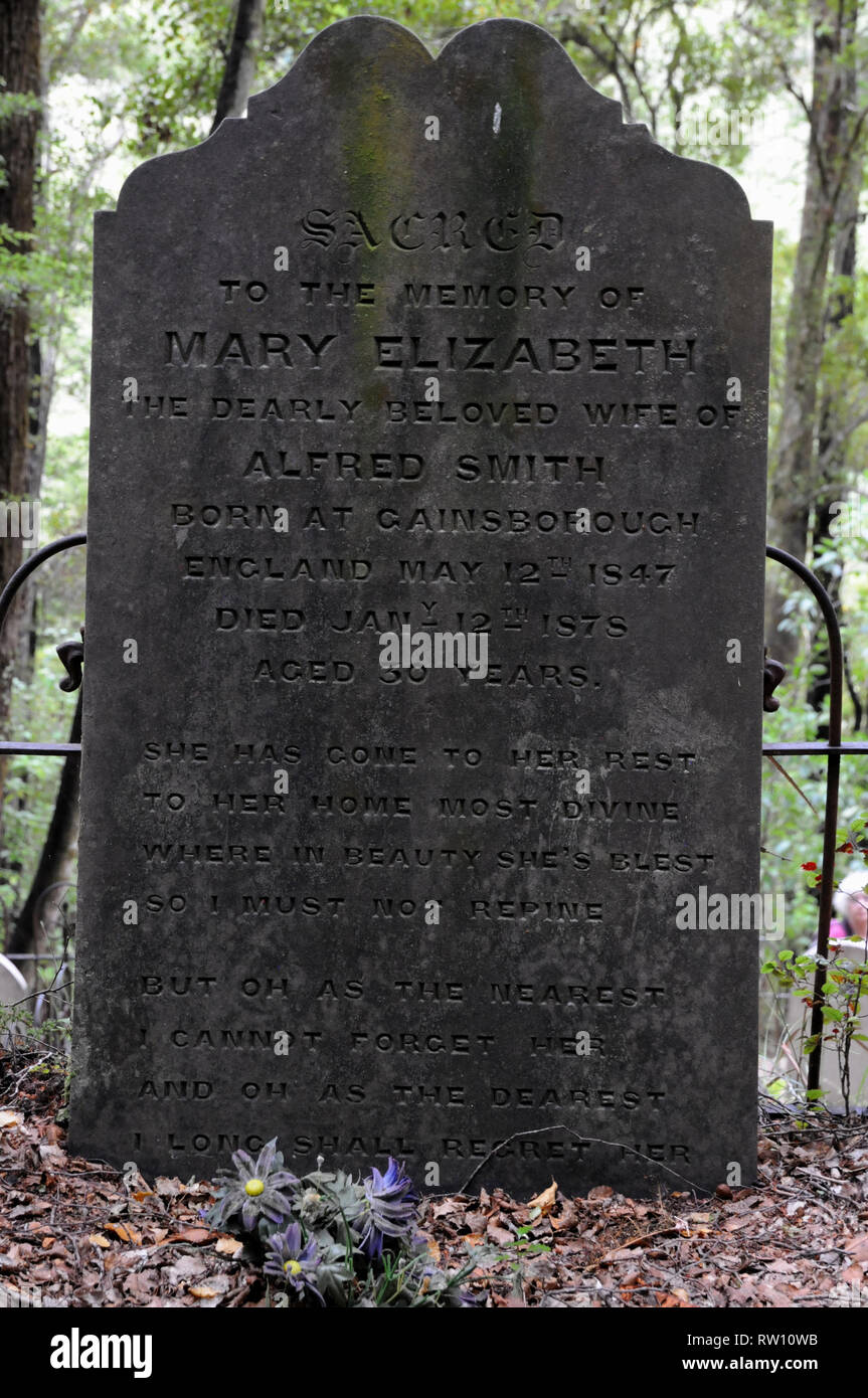 Lyell new zealand hi-res stock photography and images - Alamy