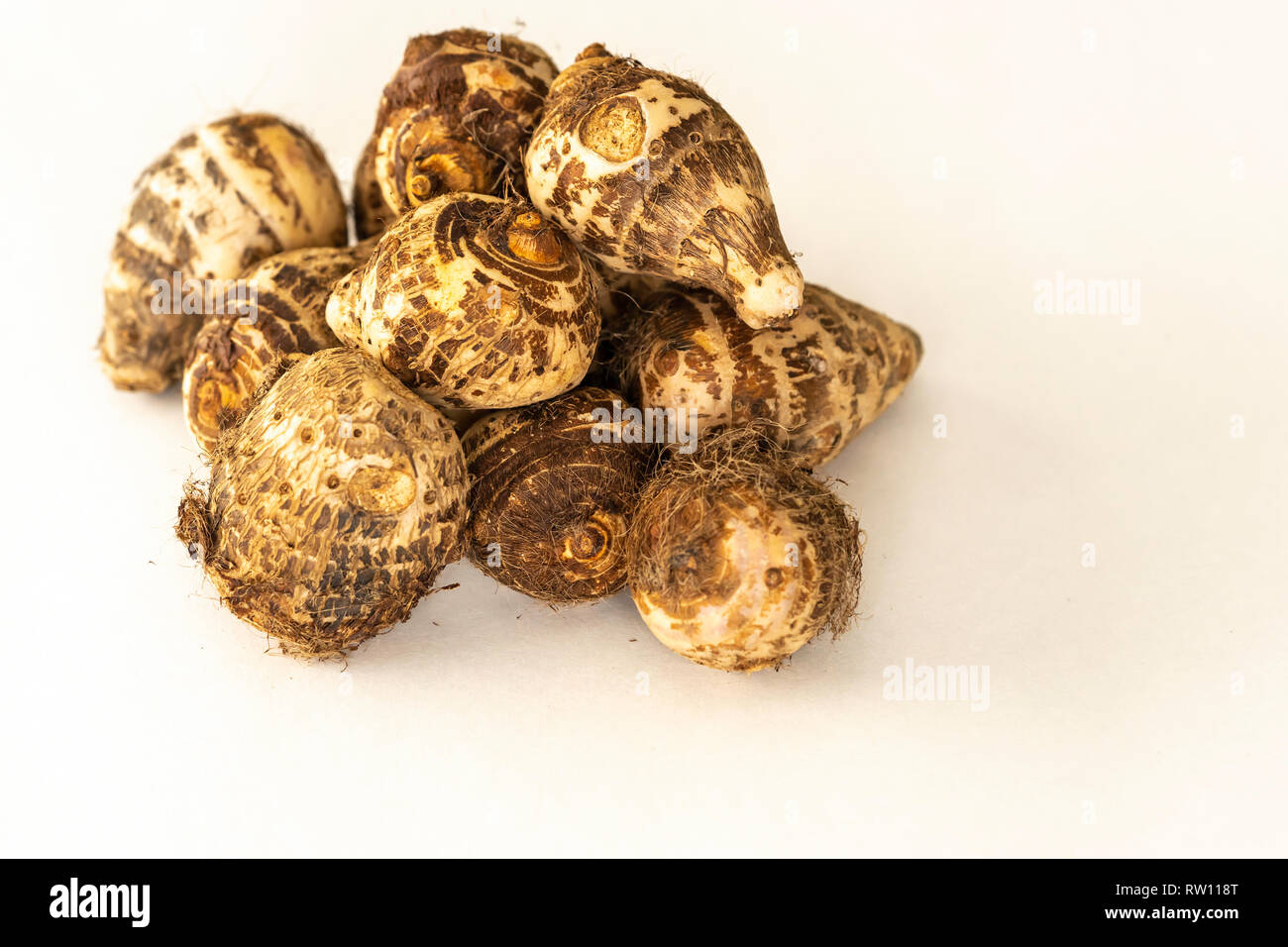 African Root High Resolution Stock Photography and Images - Alamy