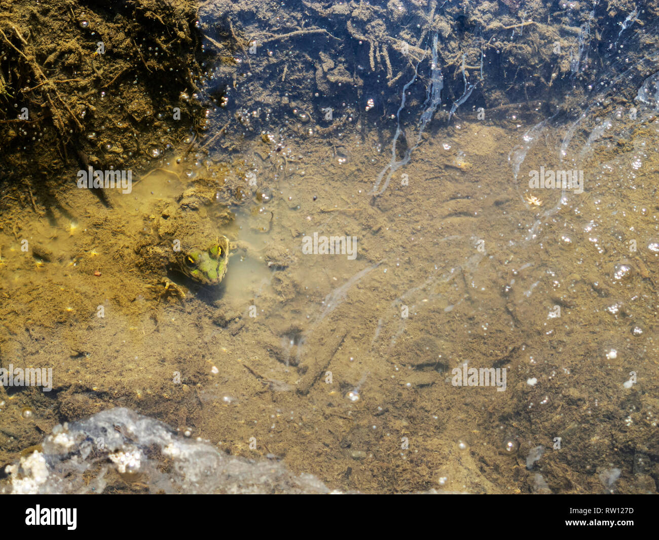 Mud In Eyes High Resolution Stock Photography and Images - Alamy