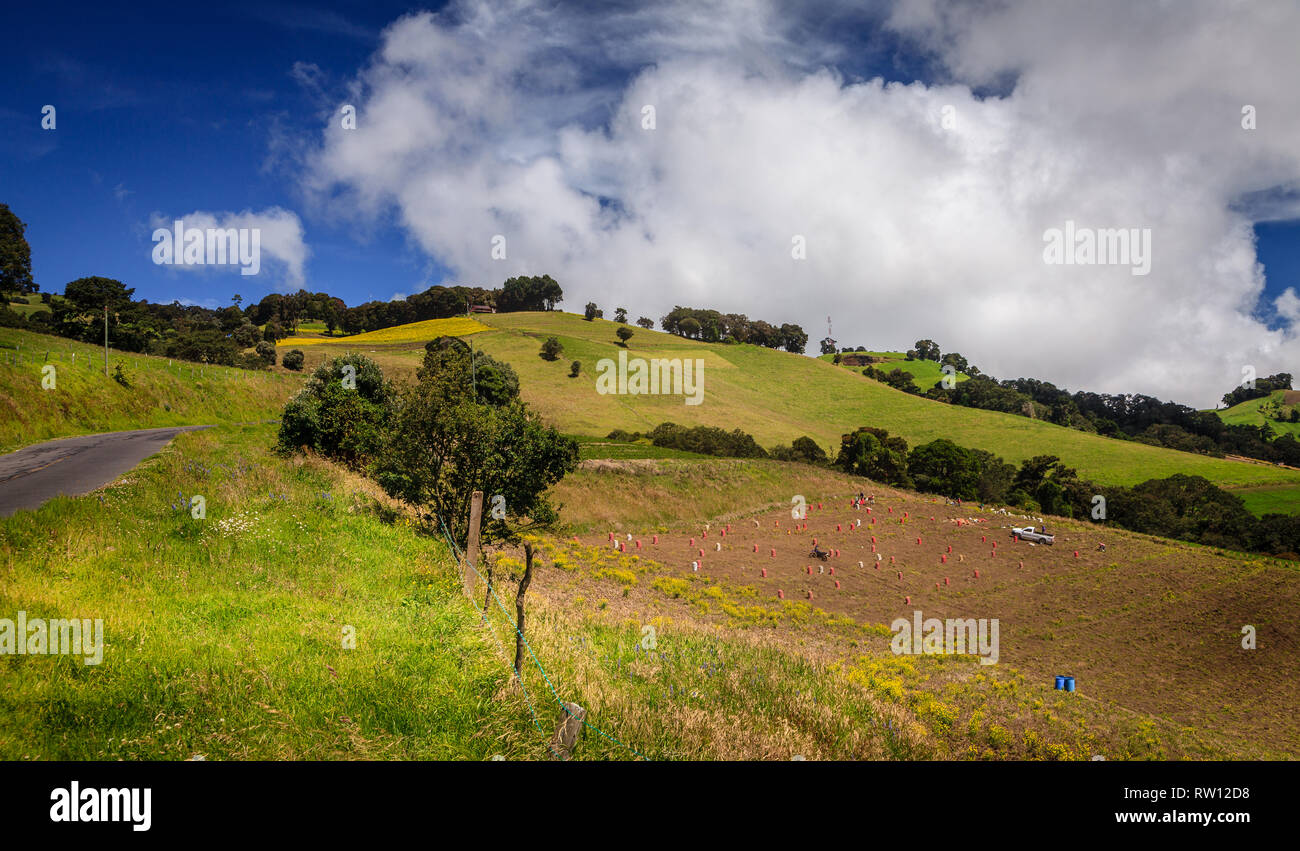Costa rica agriculture hi-res stock photography and images - Alamy