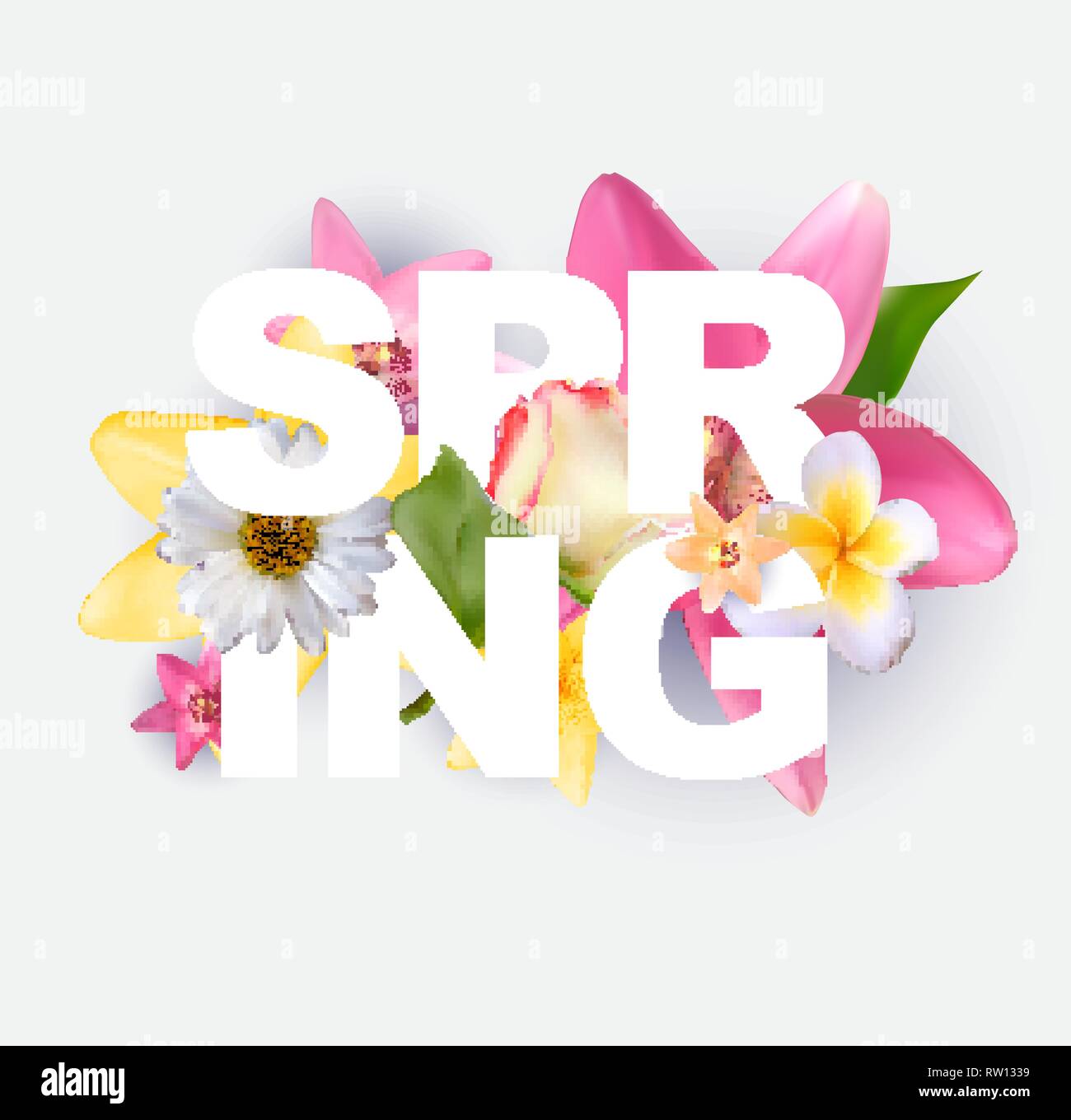 Hello Spring Banner Greetings Design Background with Colorful Flower ...