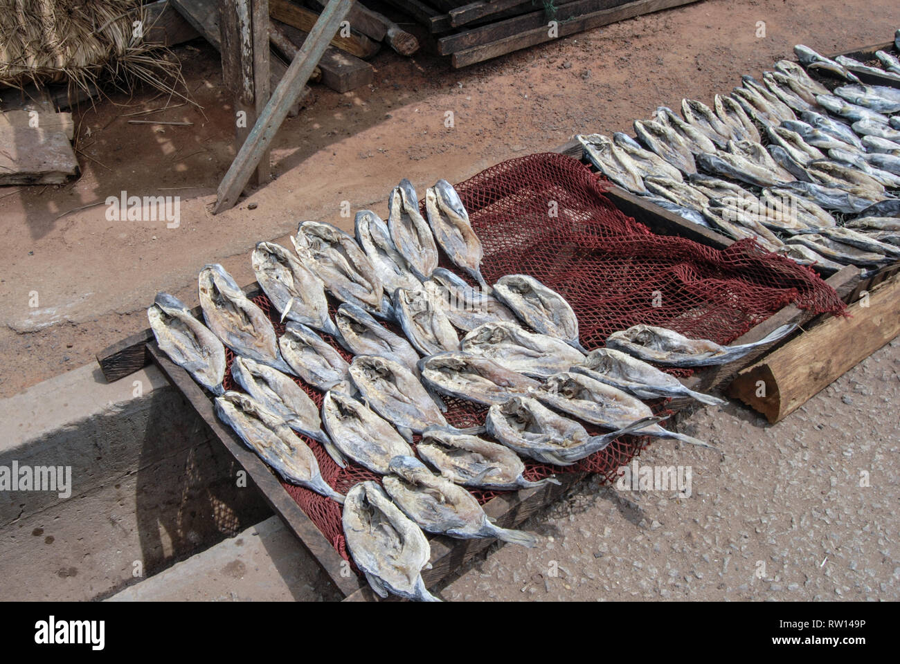 A nice photo of sun-drying fish (koobi) at the harbour of Elmina, Ghana ...
