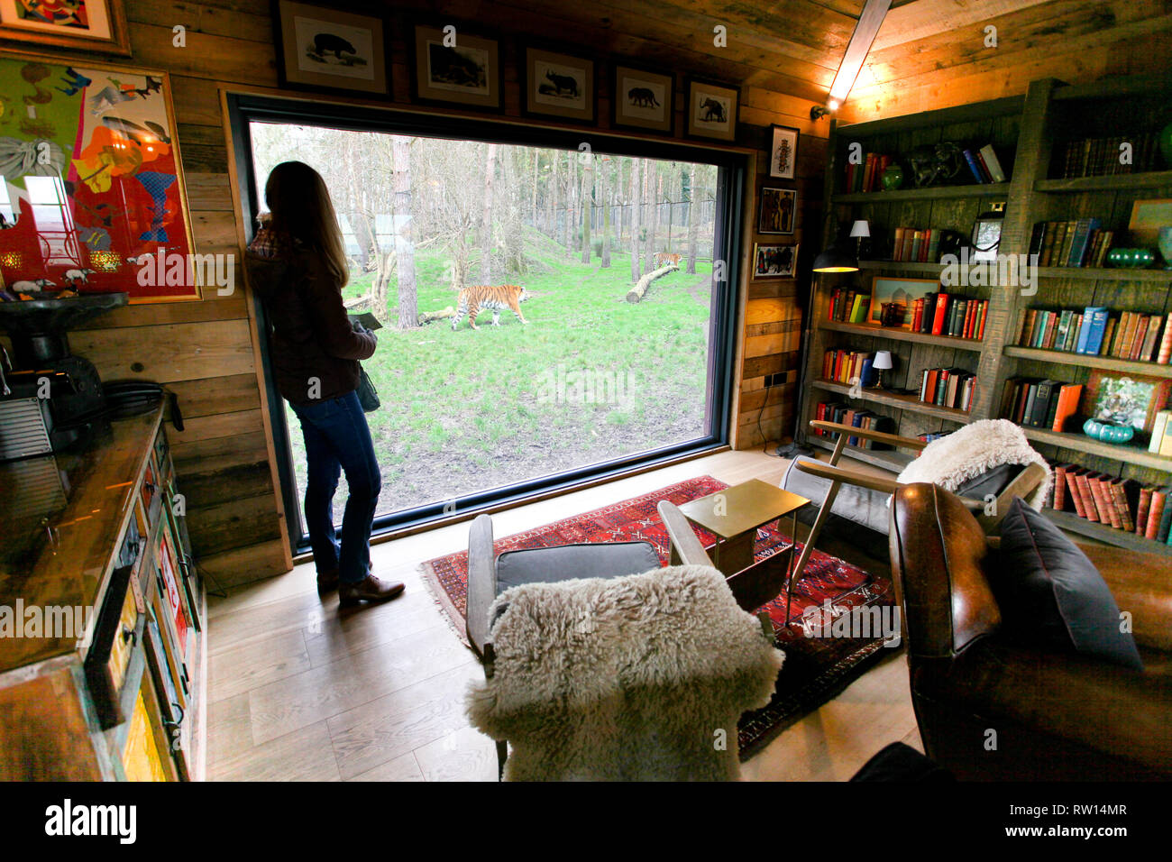 Tiger lodge hi-res stock photography and images - Alamy