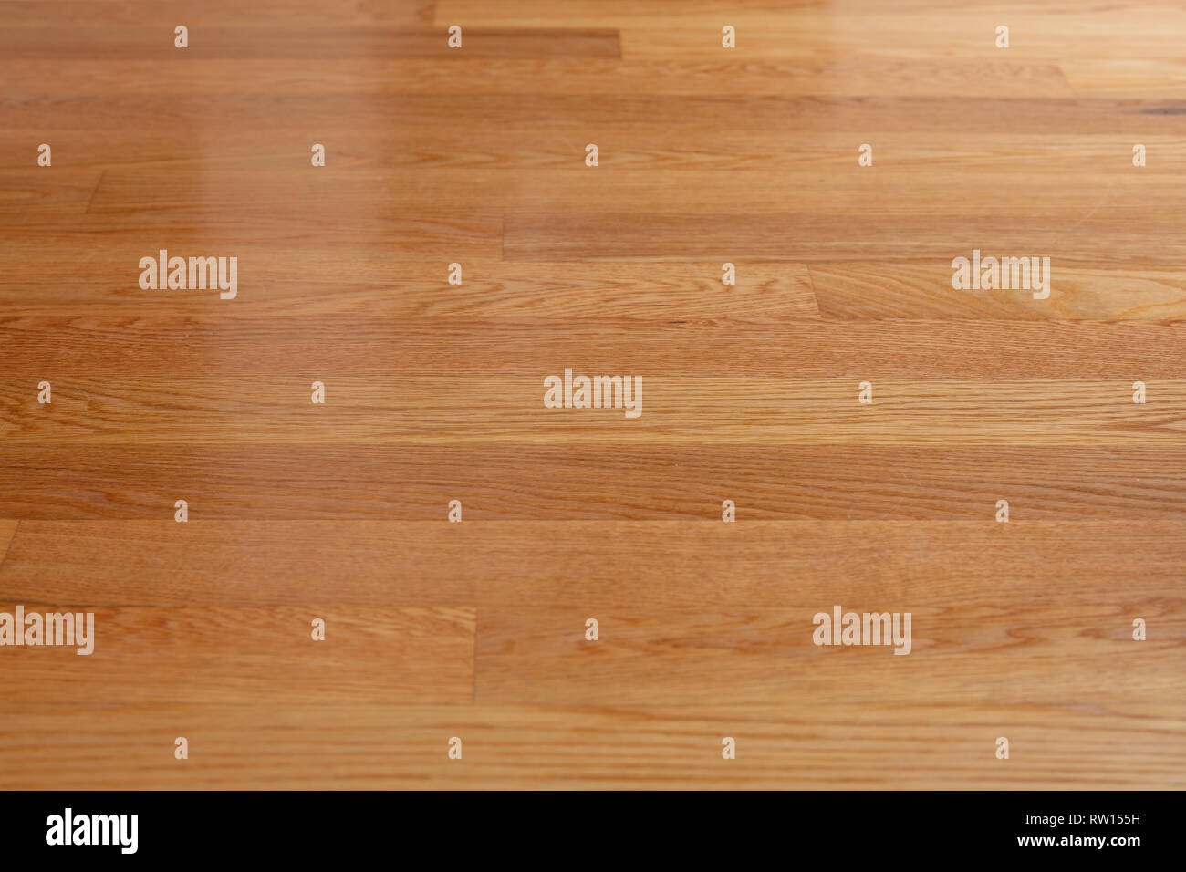 Wood Surface Perspective