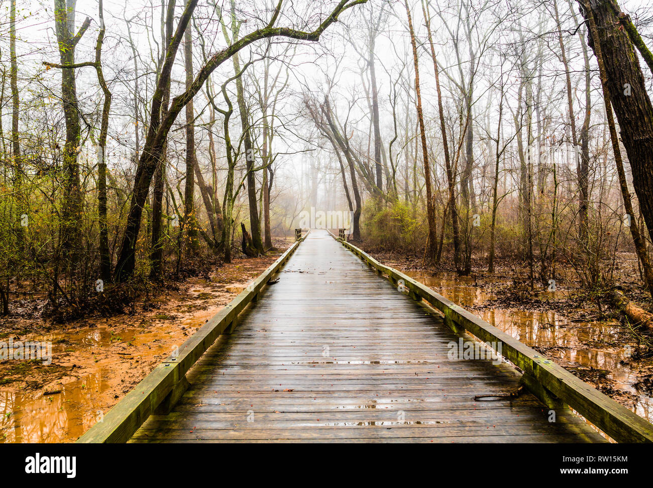 Marshland trails hi-res stock photography and images - Alamy