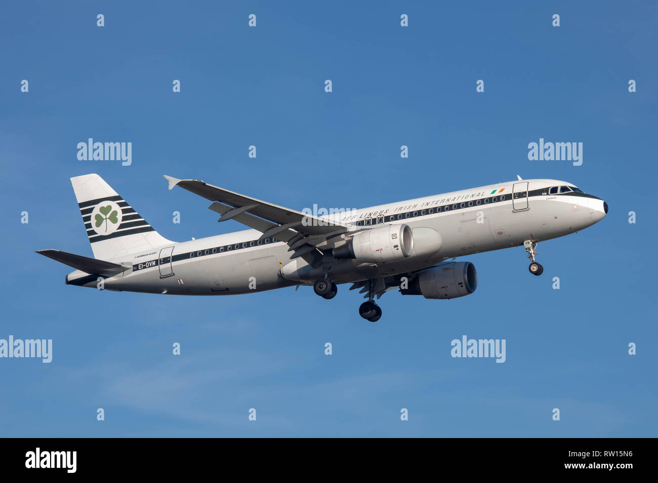 Airbus A320 Aer Lingus retro Stock Photo - Alamy