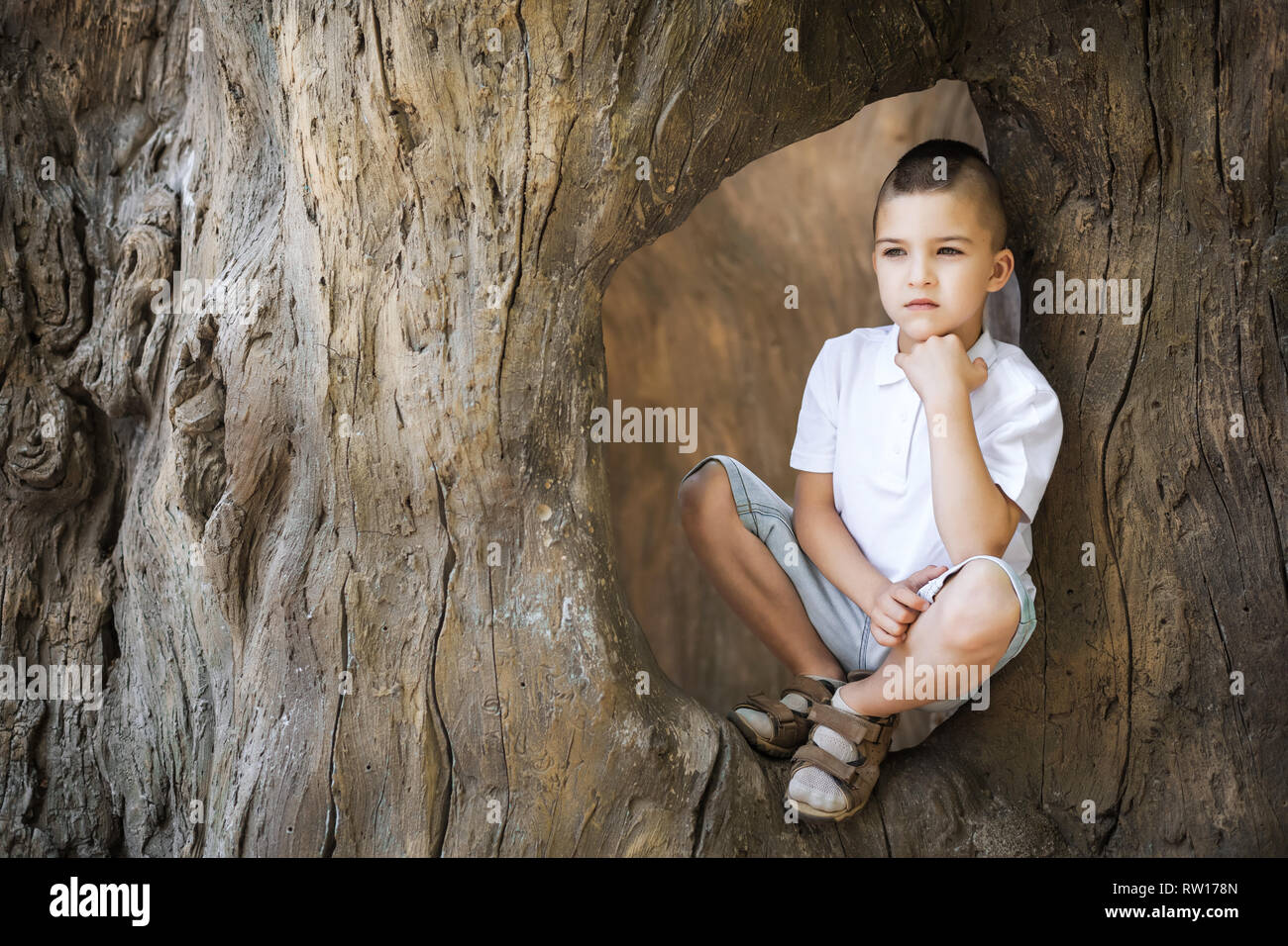 boy sitting in the old tree Stock Photo - Alamy