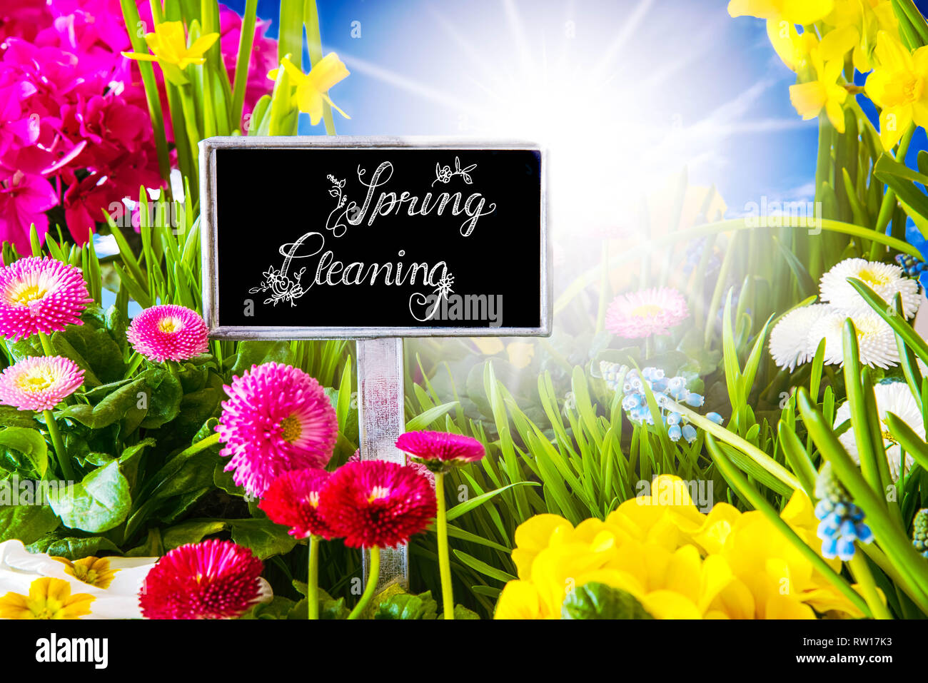 Spring cleanup hi-res stock photography and images - Alamy