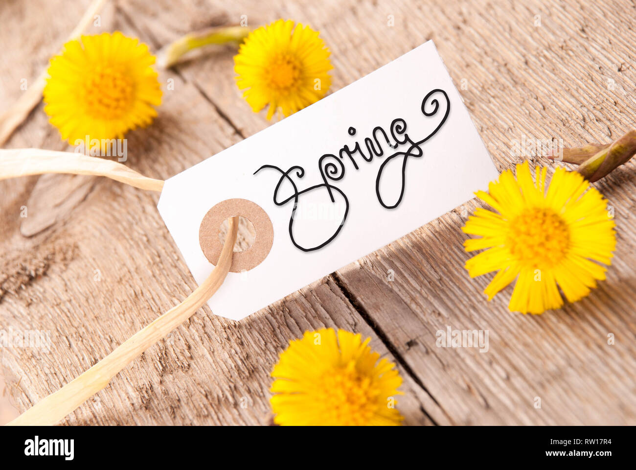 Dandelion illustration label hi-res stock photography and images - Alamy