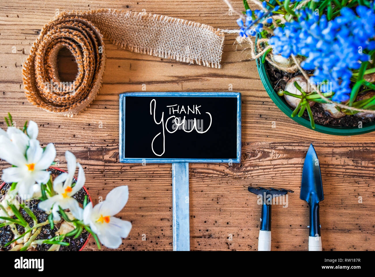 Spring Flowers, Sign, Calligraphy Thank You, Wooden Background Stock ...