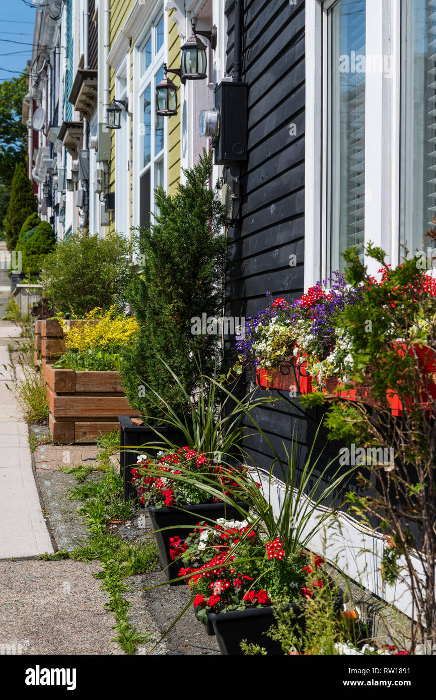 Newfoundland street scene hi-res stock photography and images - Alamy