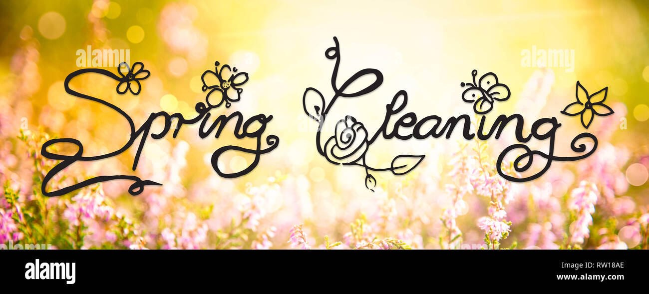 Sunny Erica Flower Field, Calligraphy Spring Cleaning Stock Photo - Alamy