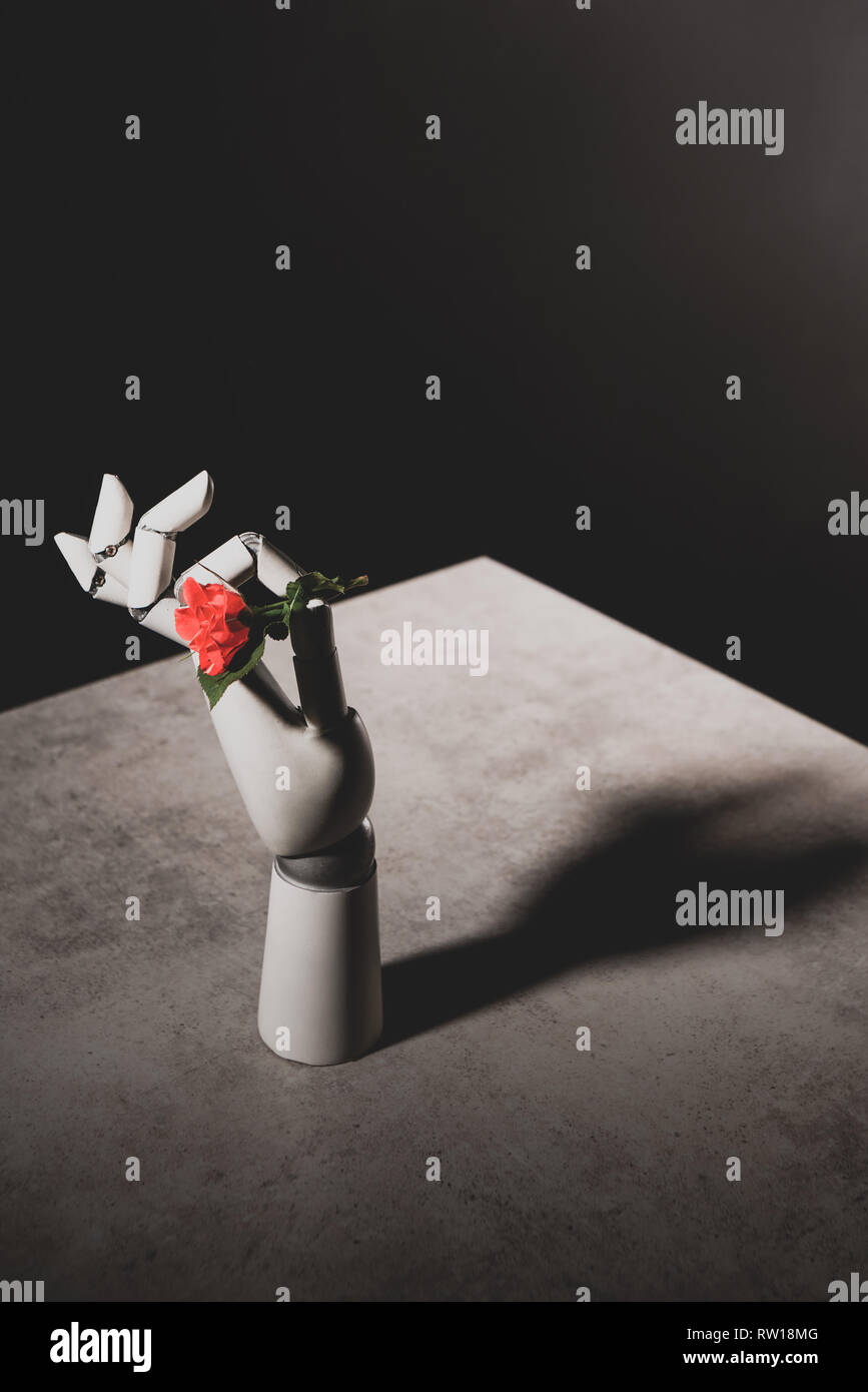 pink rose flower in robotic hand on stone table on black background ...
