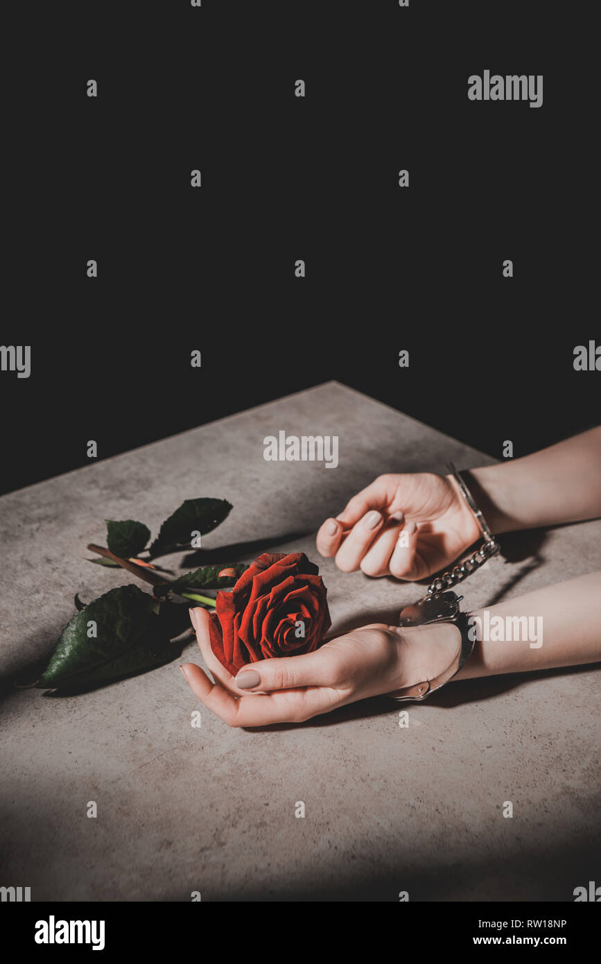 partial view of woman in metal handcuffs holding red rose flower ...