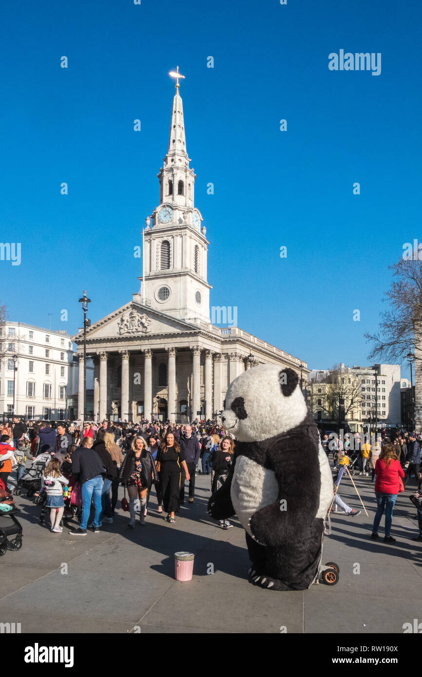 Giant Panda,giant,panda,busker,busking,at,Popular,tourist,attraction ...