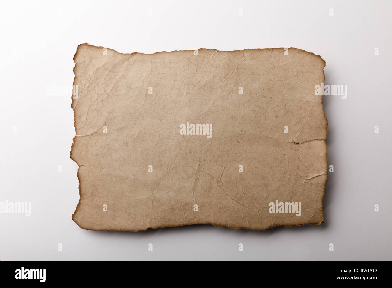 top view of old parchment sheet lying on white background Stock Photo ...