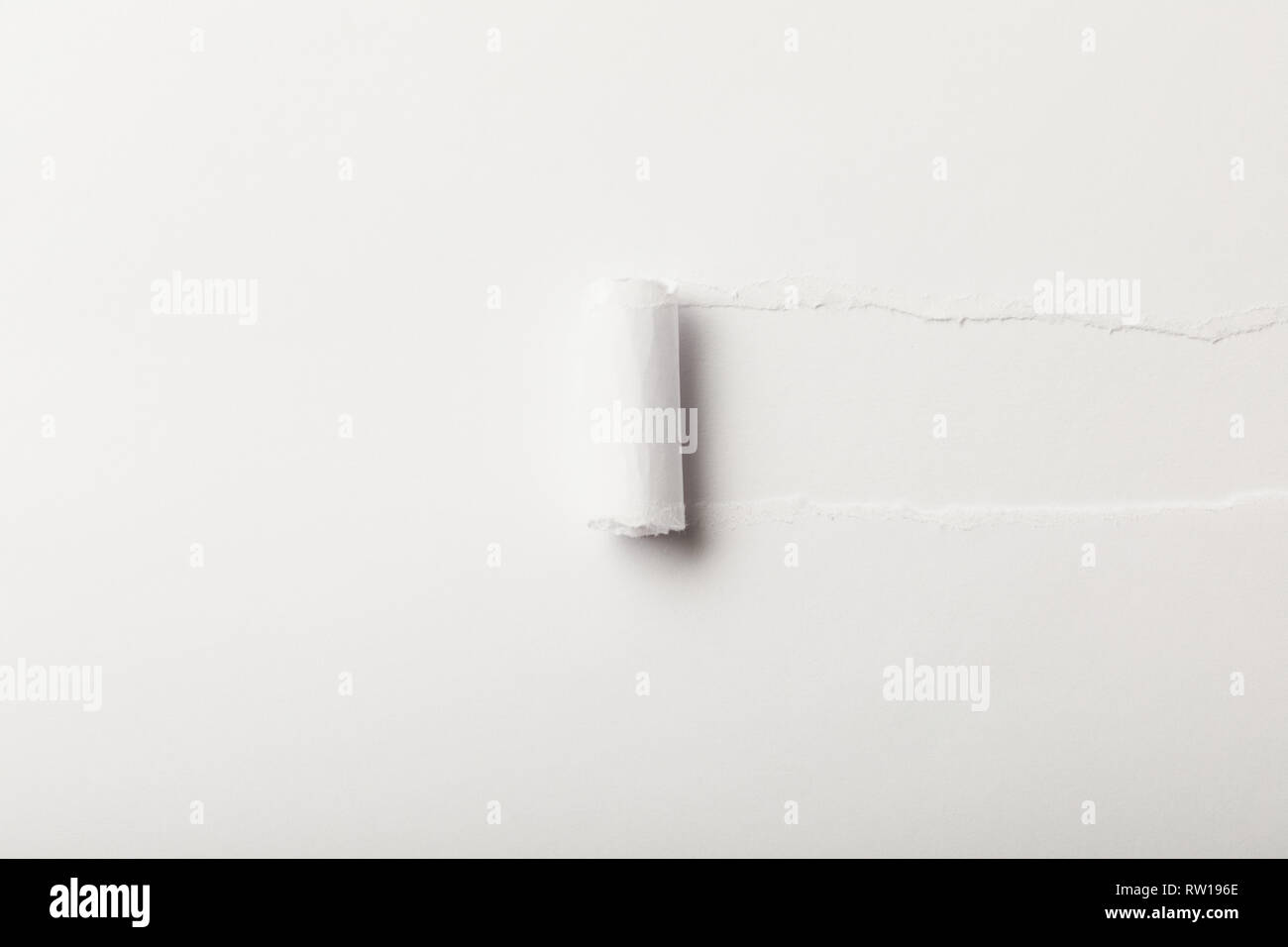 torn paper with rolled edge on white background Stock Photo - Alamy