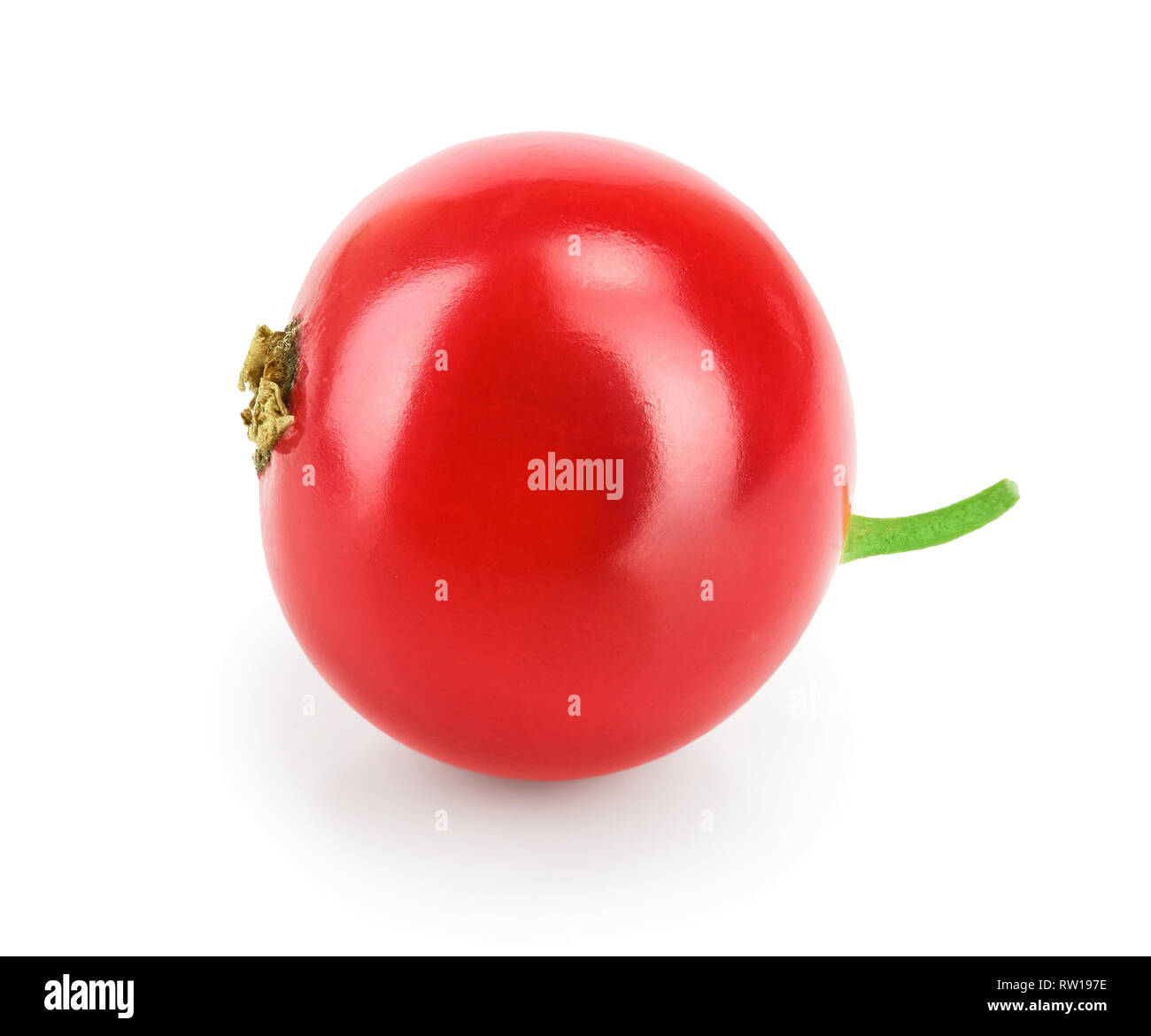 Red currant berry isolated on white background Stock Photo - Alamy
